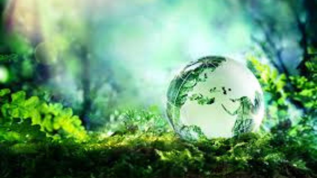 Sustainability Tech Startups And Corporations Cross Sector